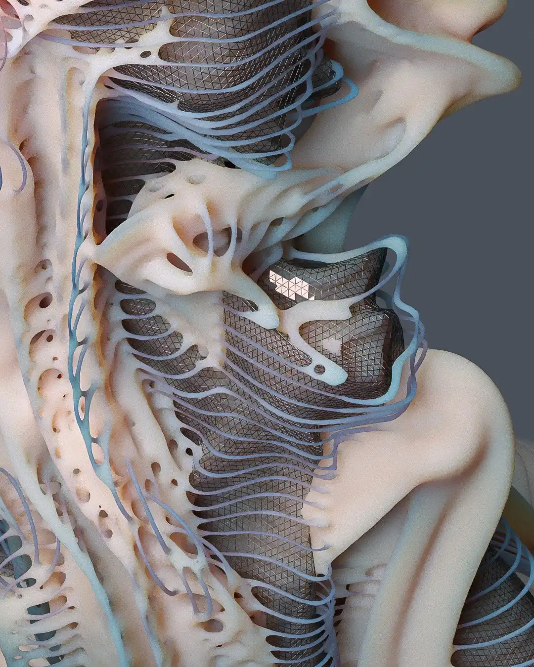 Biomorphic Topologies 2.0 | PAACADEMY